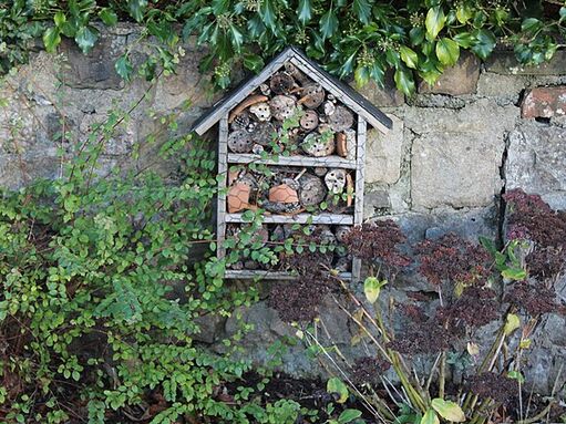 Build a bug or bee hotel | Essex Wildlife Trust