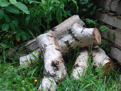 Create a habitat pile | Essex Wildlife Trust