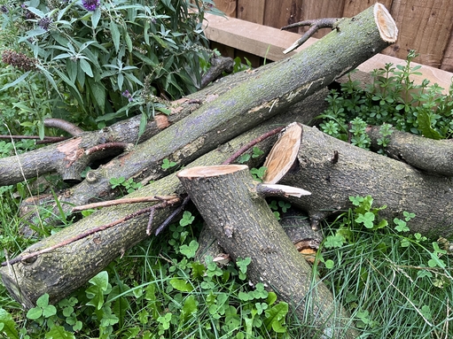 Create a habitat pile | Essex Wildlife Trust