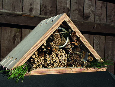 Build a bug or bee hotel | Essex Wildlife Trust