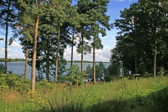 Hanningfield Reservoir Nature Discovery Park | Essex Wildlife Trust