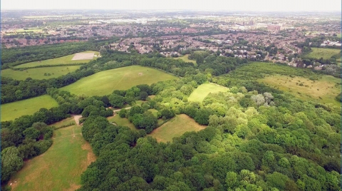 Planning | Essex Wildlife Trust