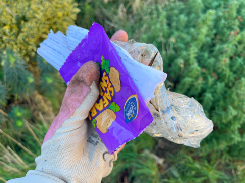 Spring Pickers | Essex Wildlife Trust