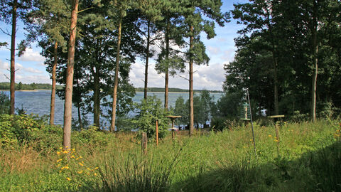 Hanningfield Reservoir Nature Discovery Park | Essex Wildlife Trust