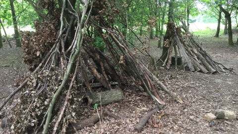 Family Forest Fun: Den Building | Essex Wildlife Trust