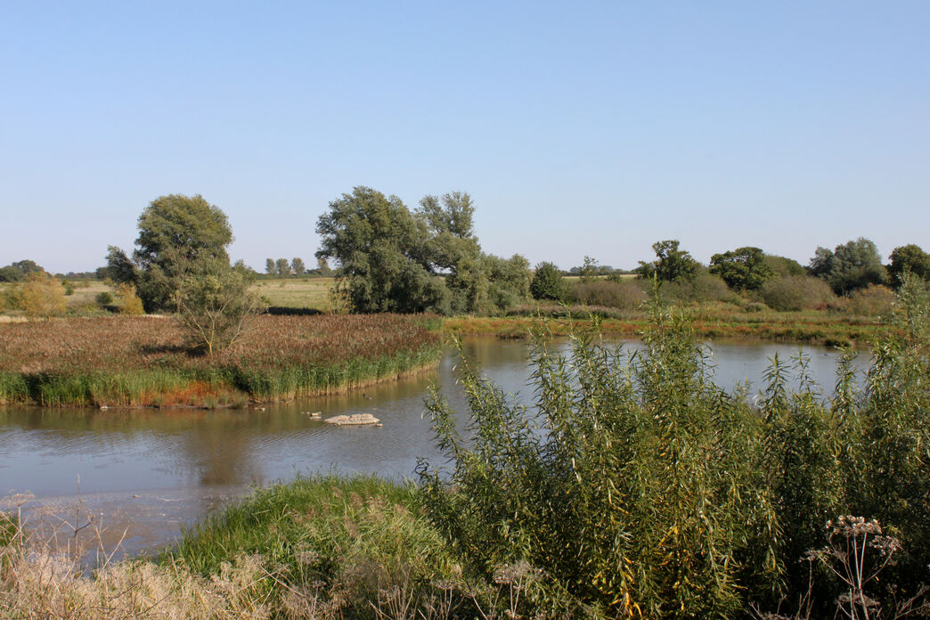 Ingrebourne Nature Discovery Centre | Essex Wildlife Trust
