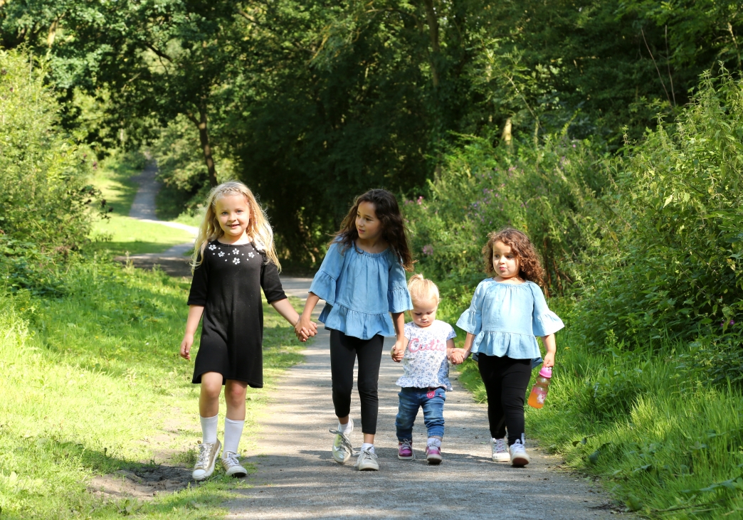 Peter Rabbit Woodland Trail | Essex Wildlife Trust