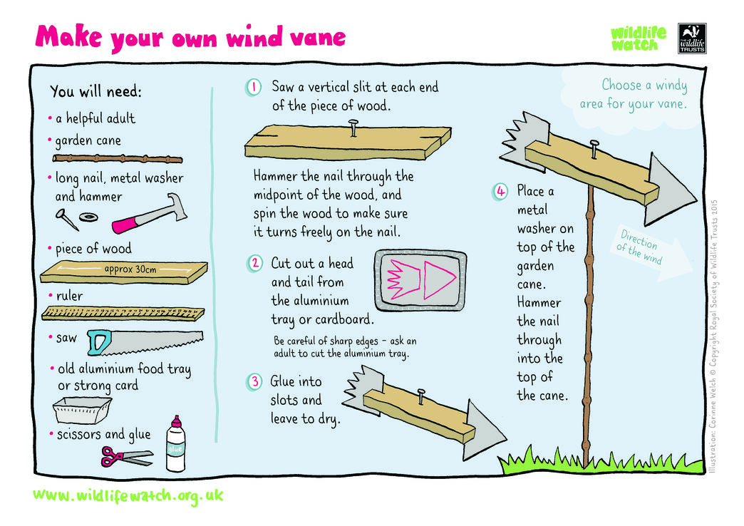 Get Wild at Home | Essex Wildlife Trust