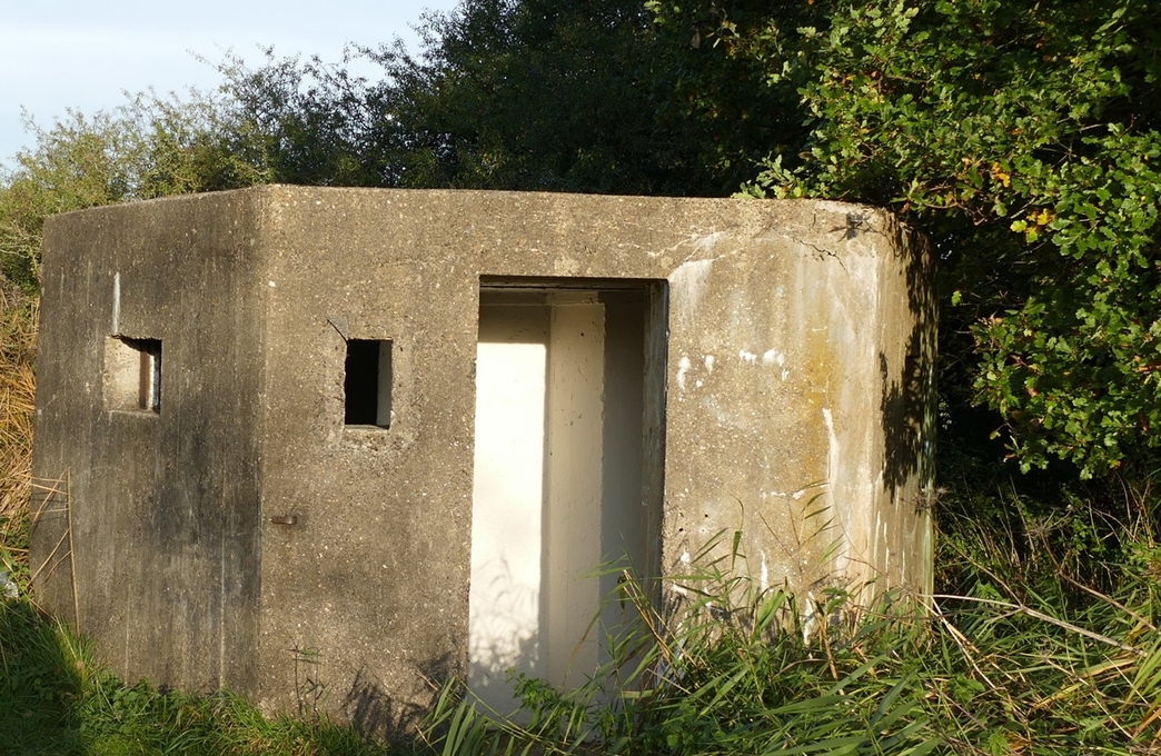 Discover history in nature | Essex Wildlife Trust