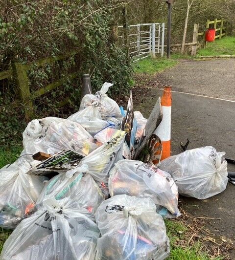 Spring Pickers | Essex Wildlife Trust