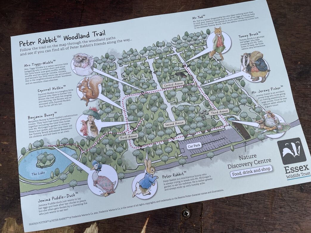 A new friend on the Peter Rabbit Trail | Essex Wildlife Trust