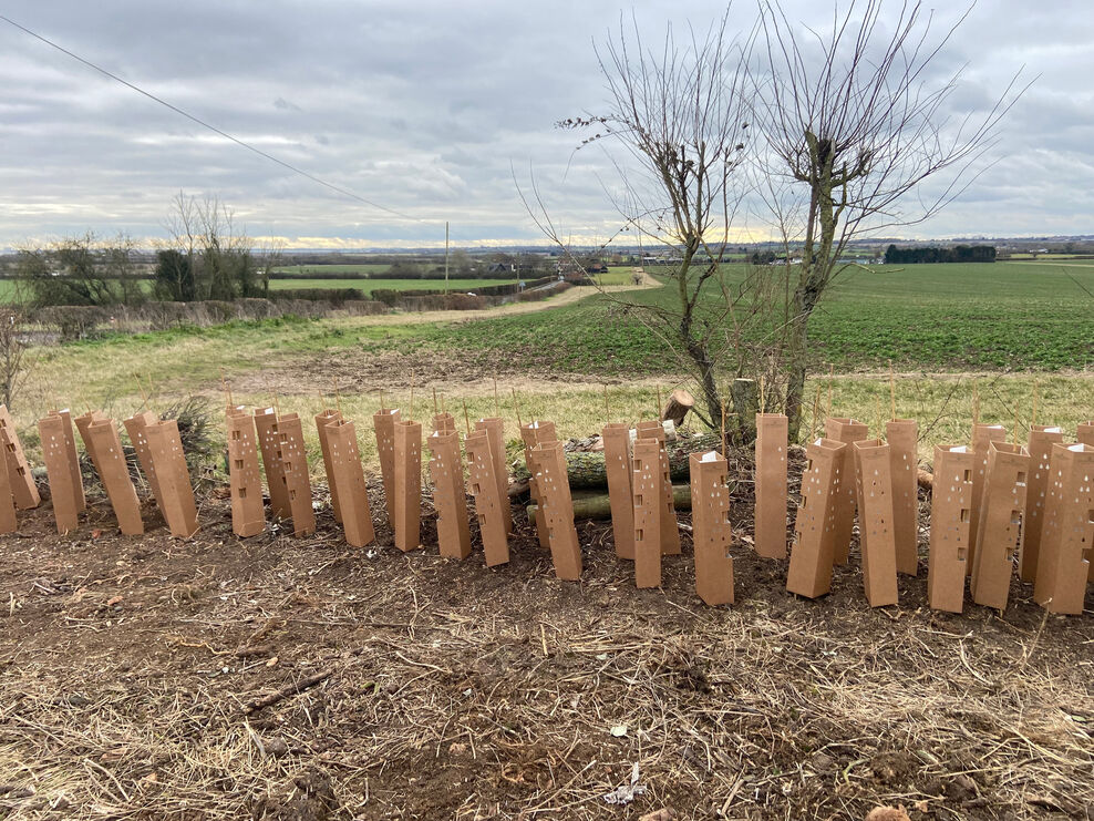 Conservation Matters: July 2022 | Essex Wildlife Trust