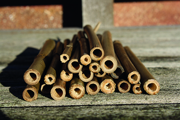 Build a bug or bee hotel | Essex Wildlife Trust