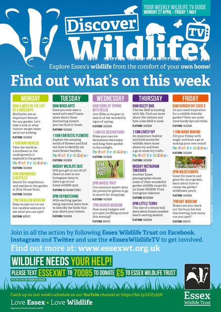 Discover WildlifeTV | Essex Wildlife Trust
