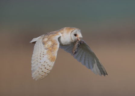 Photography Competition 2023 | Essex Wildlife Trust