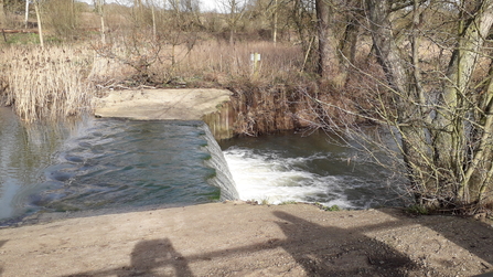 Removing barriers for fish migration | Essex Wildlife Trust