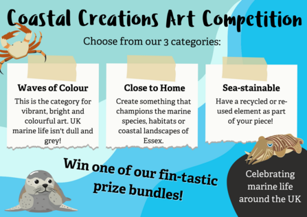 Art competition celebrates National Marine Week | Essex Wildlife Trust