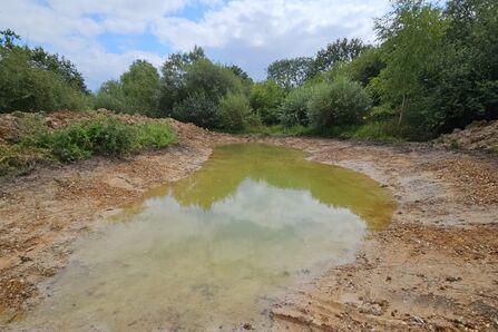 Conservation Matters: August | Essex Wildlife Trust
